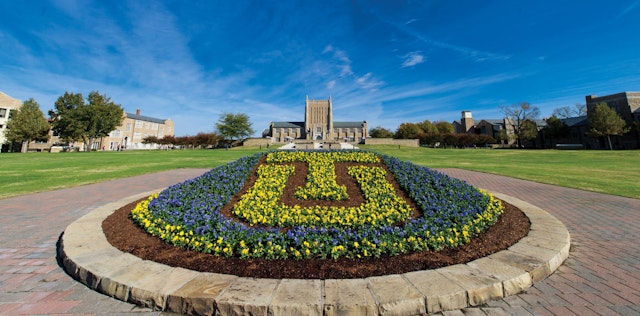 The University of Tulsa - Requirements + Data | CollegeVine
