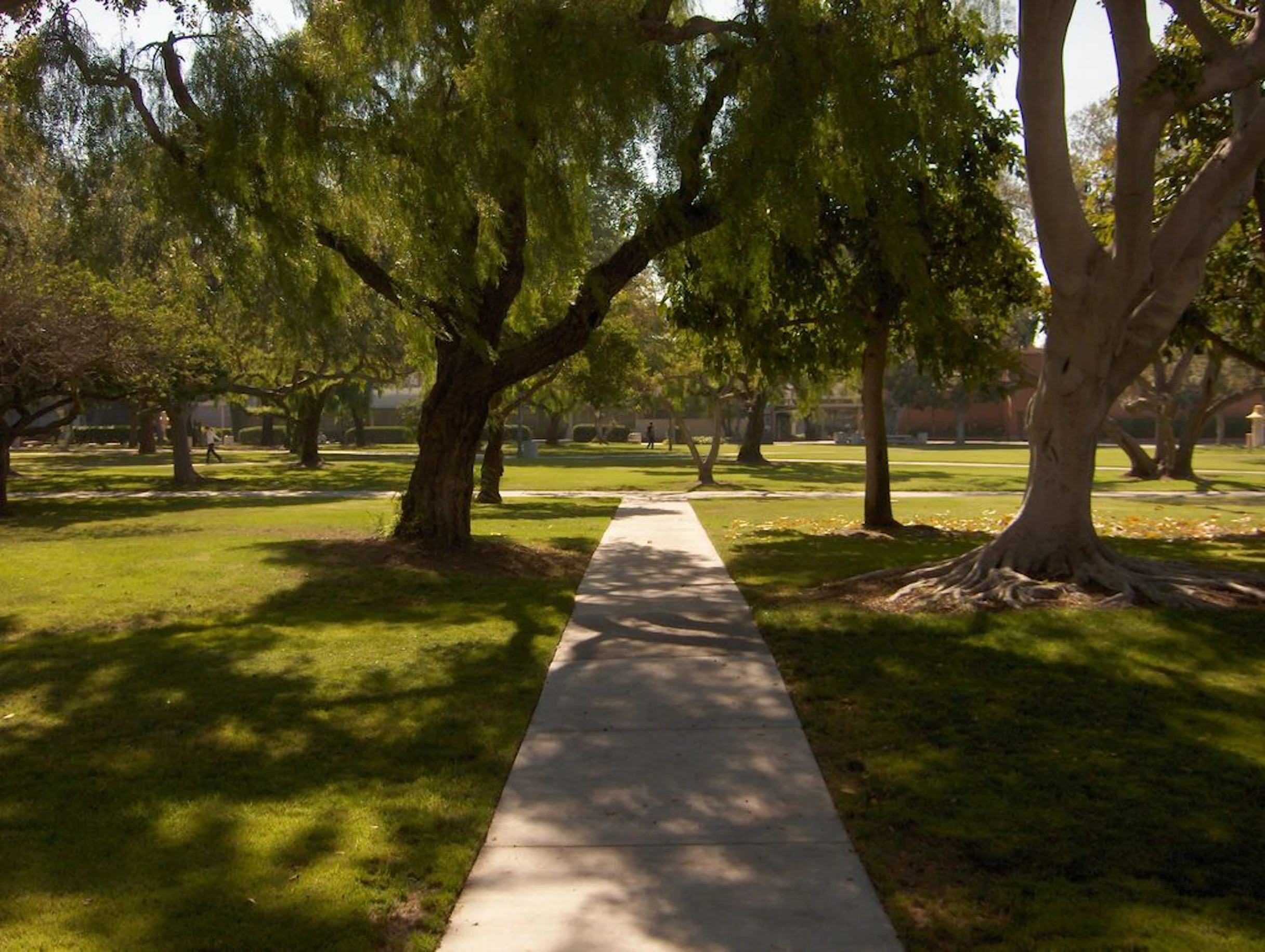CollegeVine