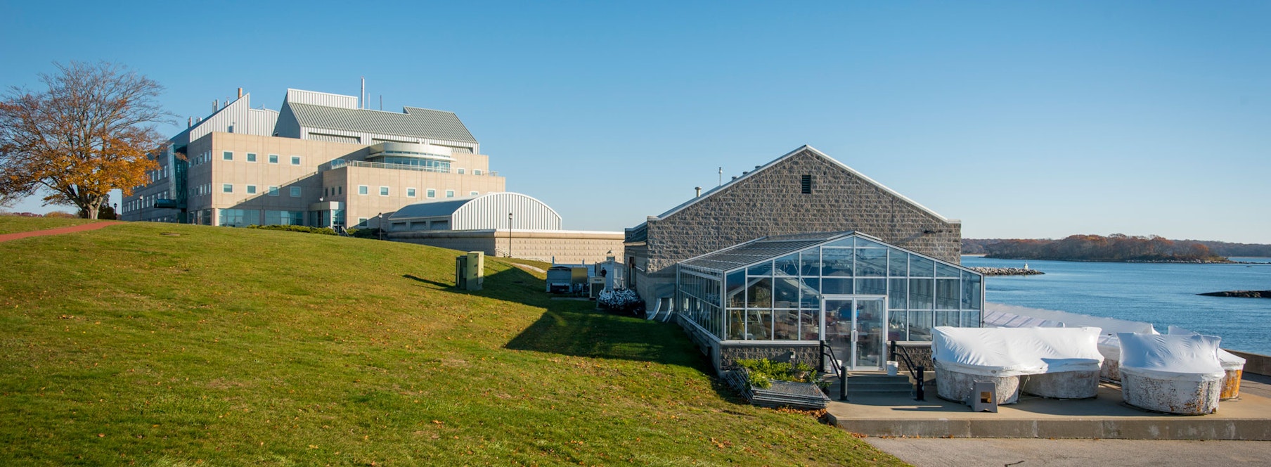 All 111 majors at University of Connecticut | UConn | CollegeVine