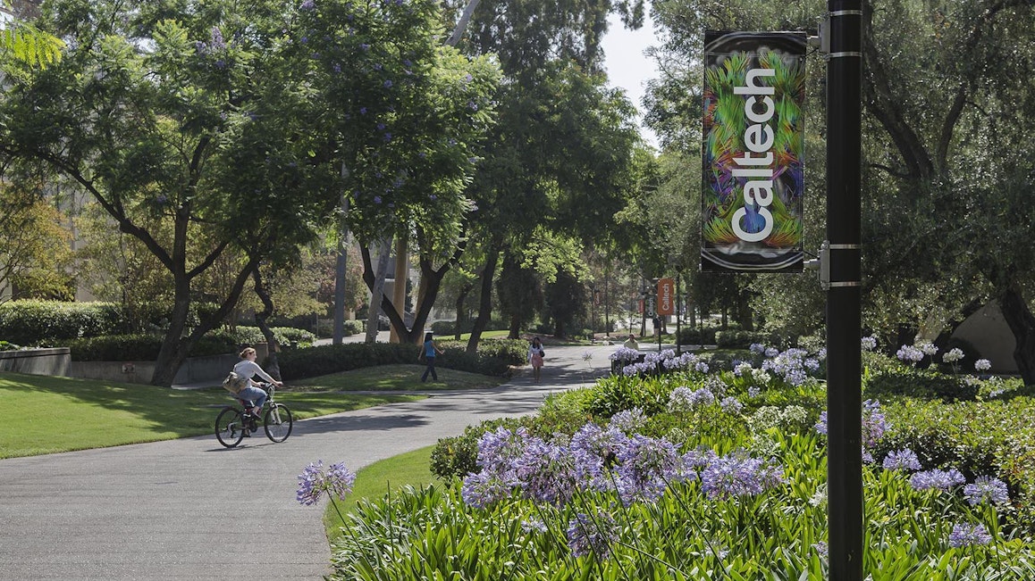 All 29 majors at California Institute of Technology | Caltech | CollegeVine