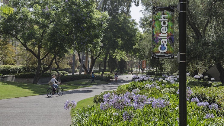 All 29 majors at California Institute of Technology | Caltech | CollegeVine