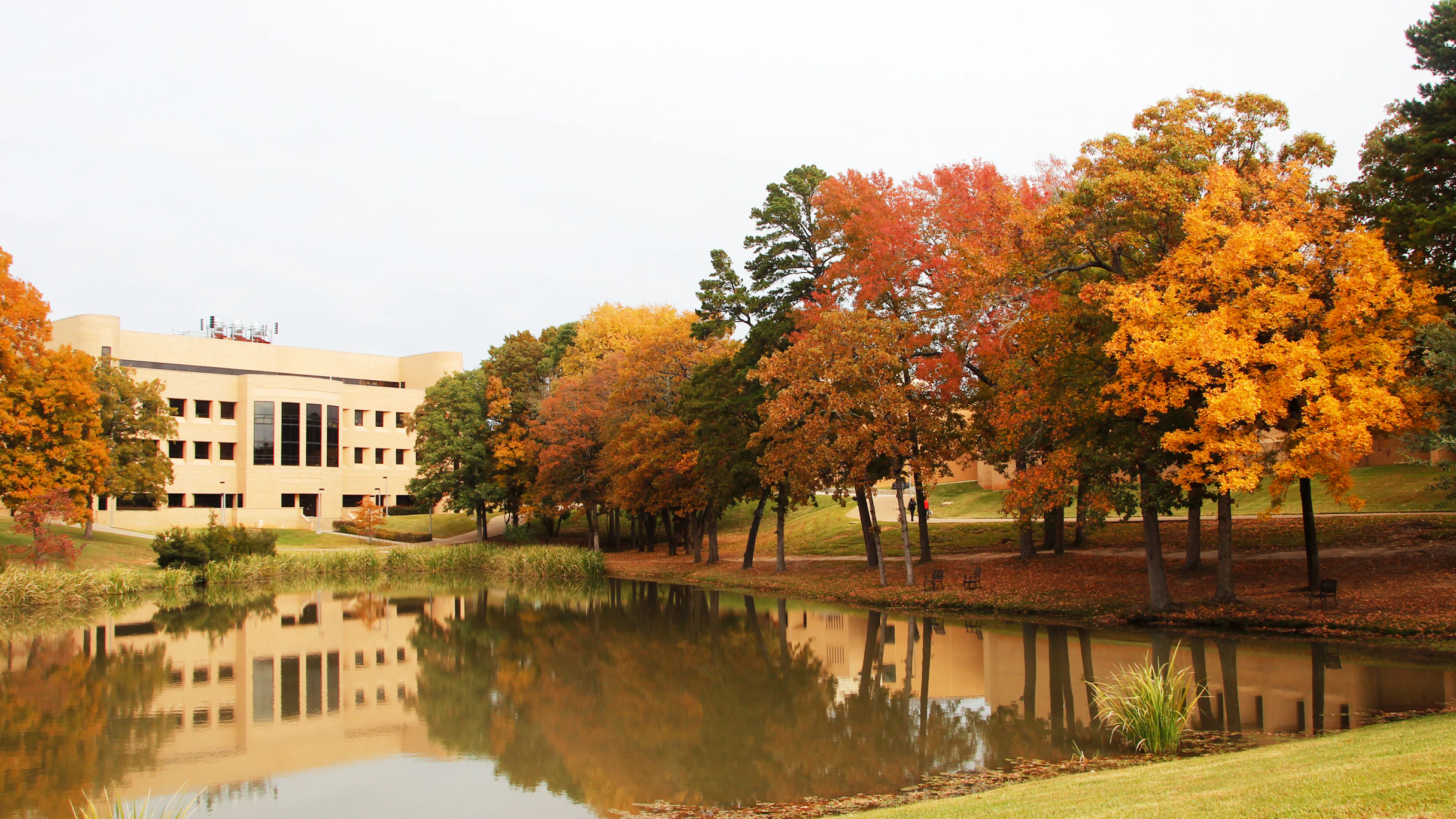 The University of Texas at Tyler - Requirements + Data | CollegeVine