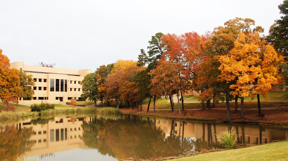 The University of Texas at Tyler - Requirements + Data | CollegeVine