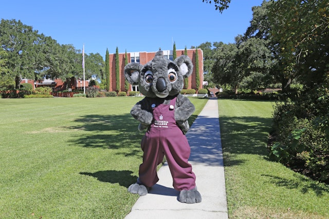 Columbia College (South Carolina) - Requirements + Data | CollegeVine