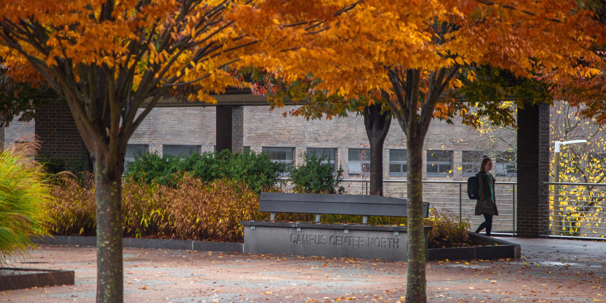 The State University of New York at Purchase | SUNY Purchase ...