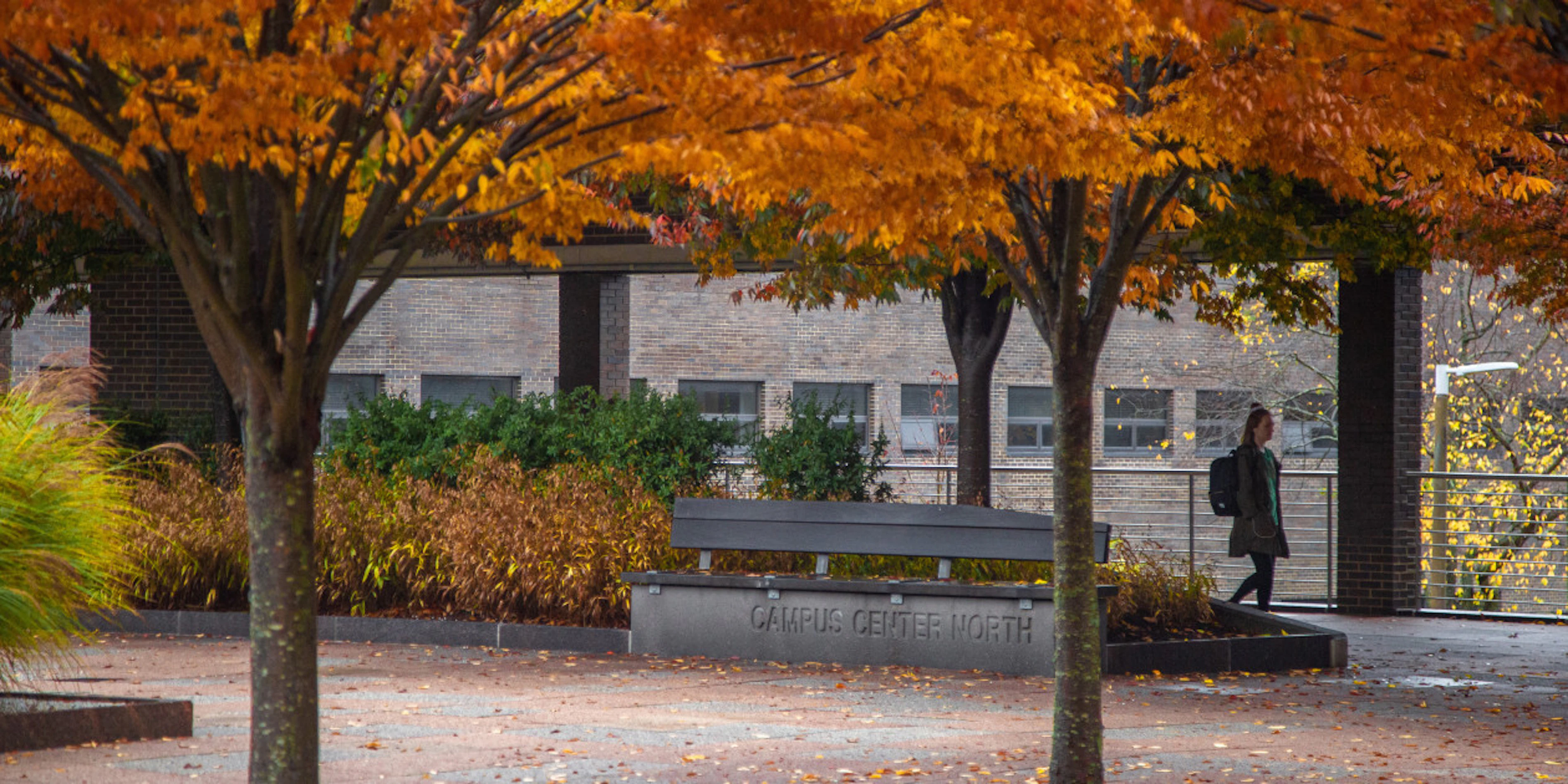 The State University of New York at Purchase | SUNY Purchase ...