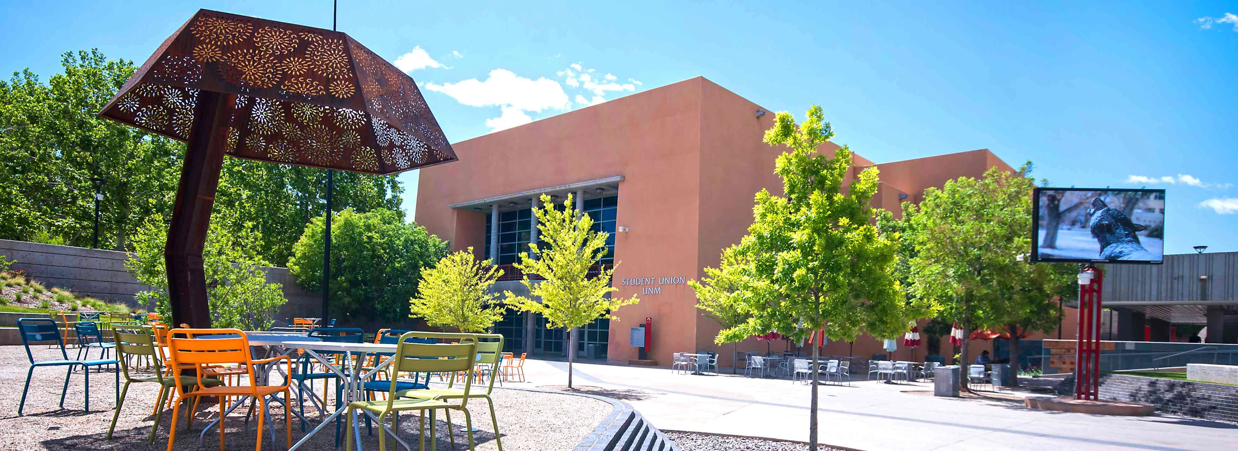All 93 majors at The University of New Mexico | UNM | CollegeVine
