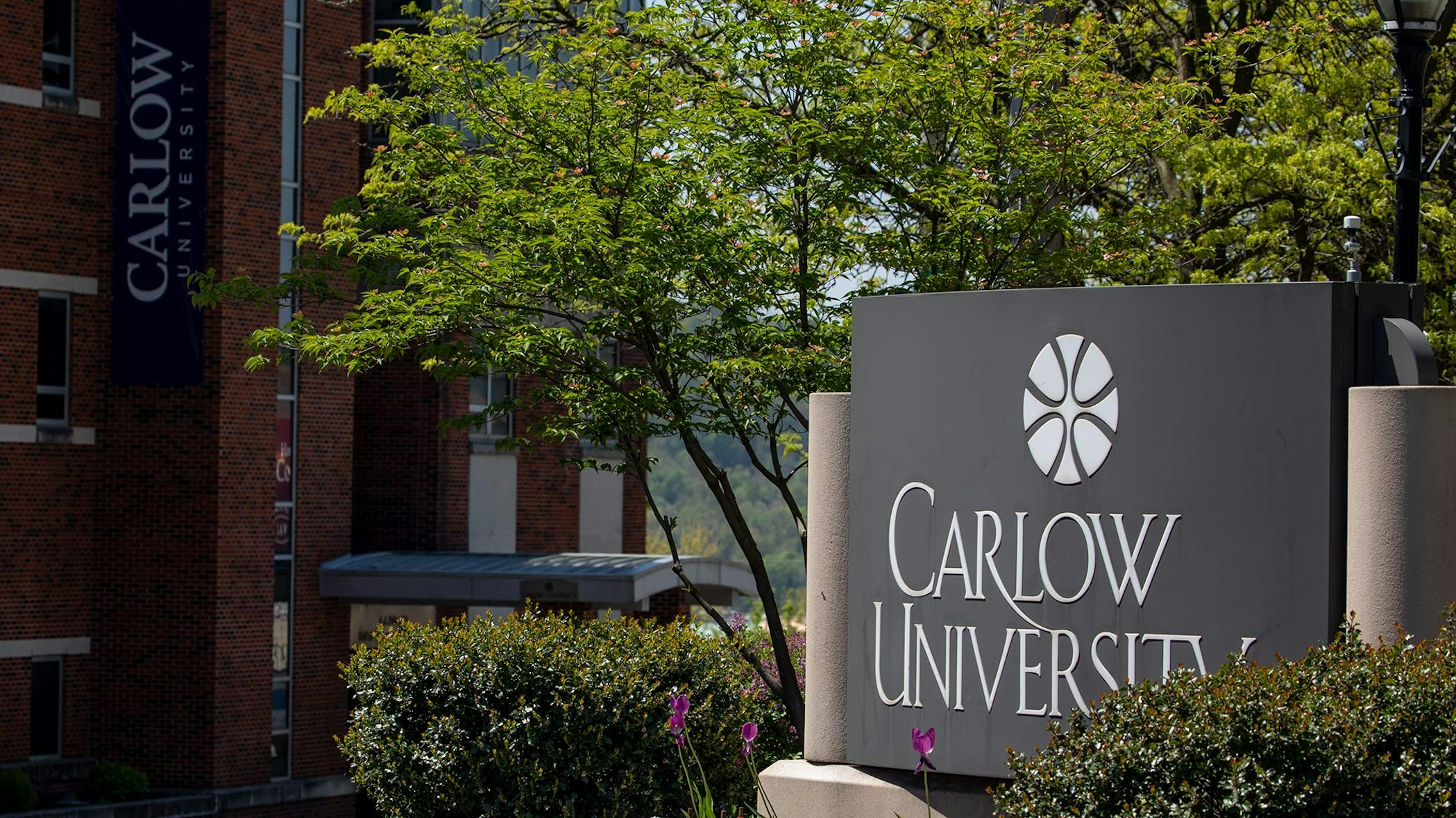 Carlow University - Requirements + Data | CollegeVine