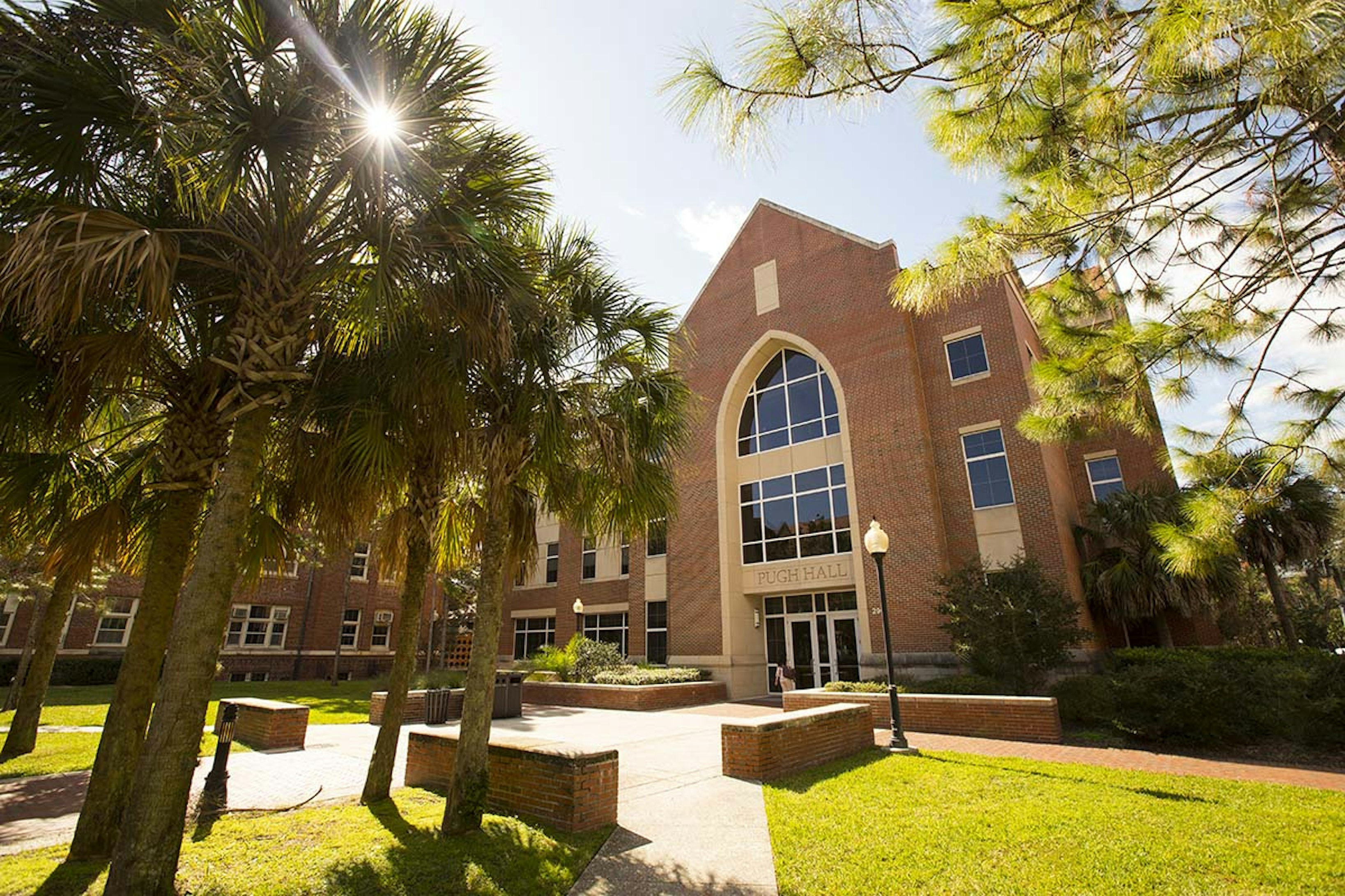 University of Florida’s 2024-25 Essay Prompts | CollegeVine