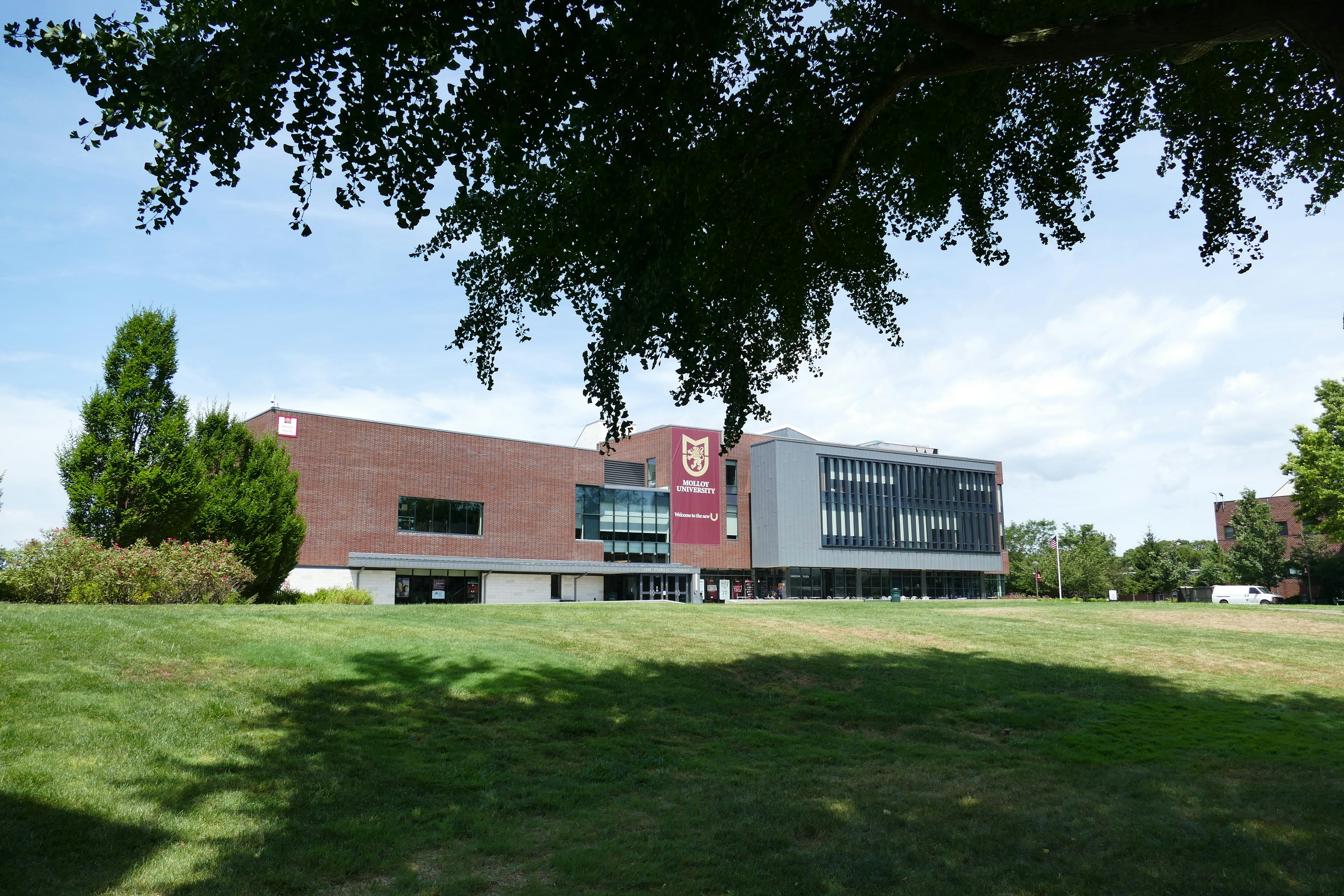 Molloy University - Requirements + Data | CollegeVine