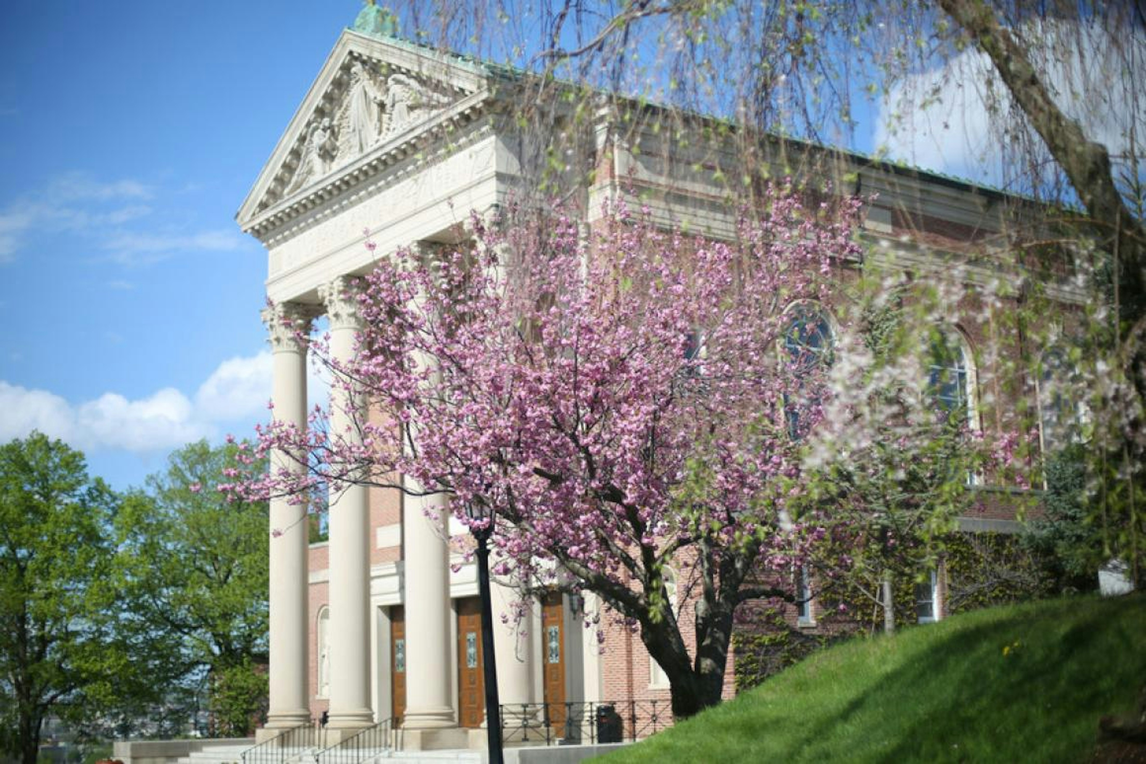 College of the Holy Cross | Holy Cross - Requirements + Data | CollegeVine