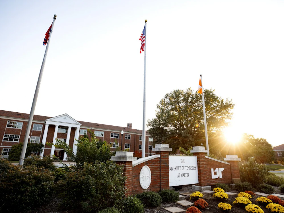 The University of Tennessee at Martin - Requirements + Data | CollegeVine