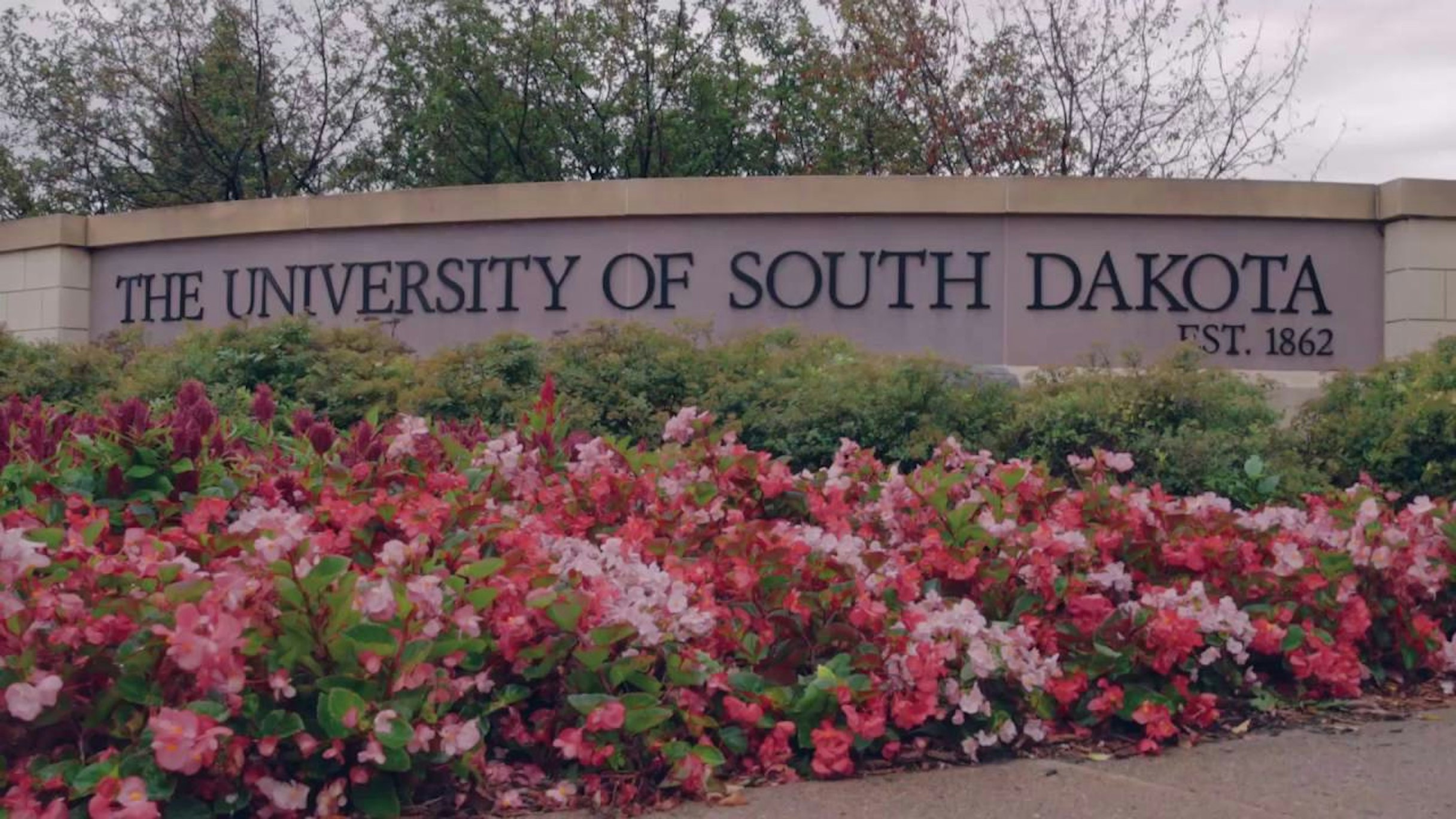 University of South Dakota | USD - Requirements + Data | CollegeVine