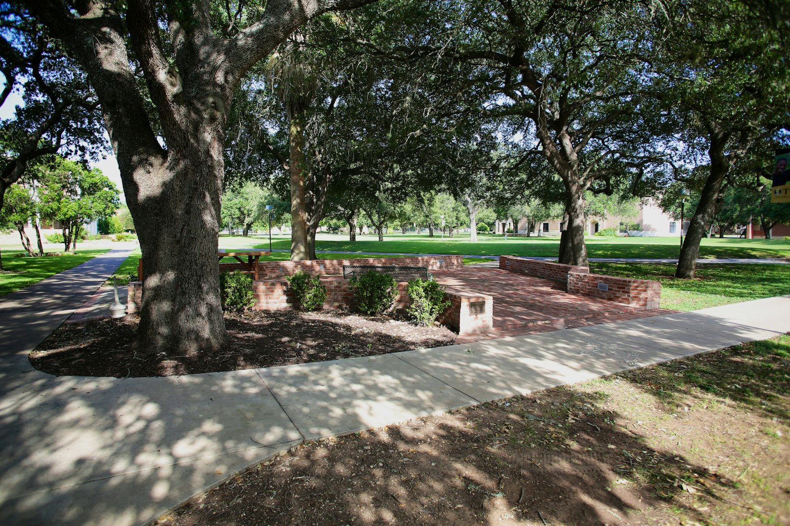 Texas Lutheran University | TLU - Requirements + Data | CollegeVine