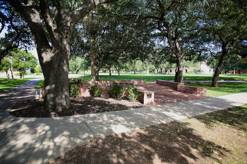 Texas Lutheran University | TLU - Requirements + Data | CollegeVine