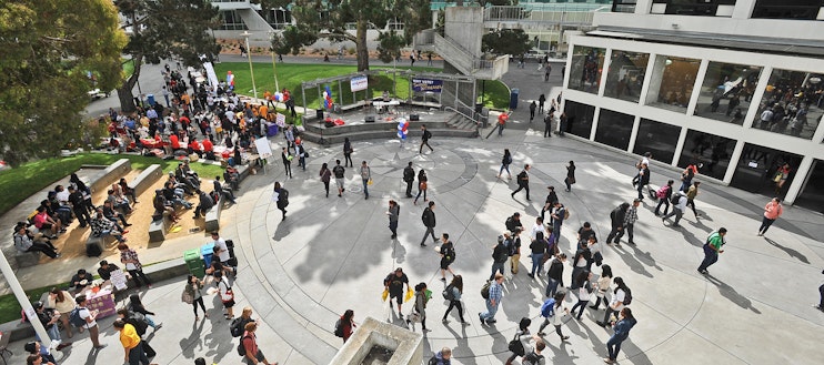 San Francisco State University | SF State - Requirements + Data ...