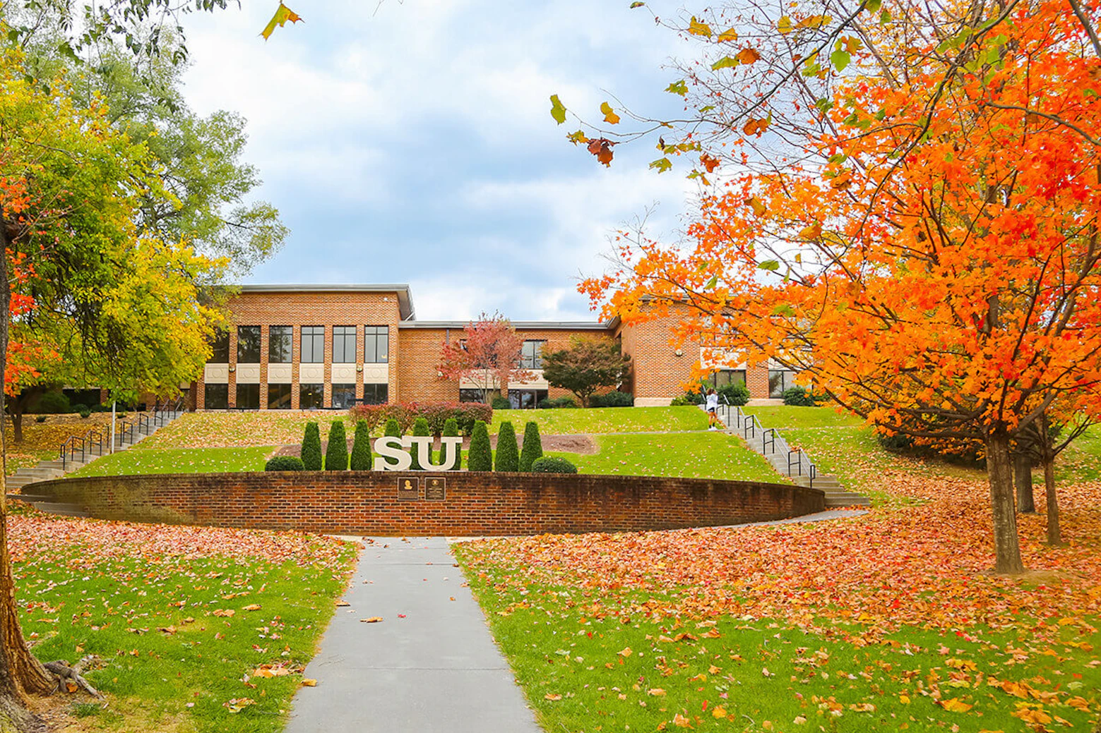 Shenandoah University - Requirements + Data | CollegeVine