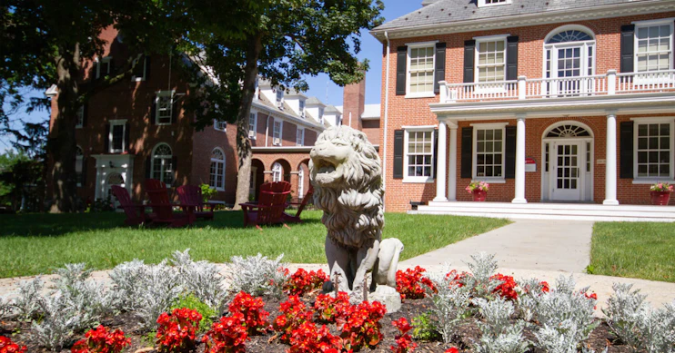 Albright College - Requirements + Data | CollegeVine