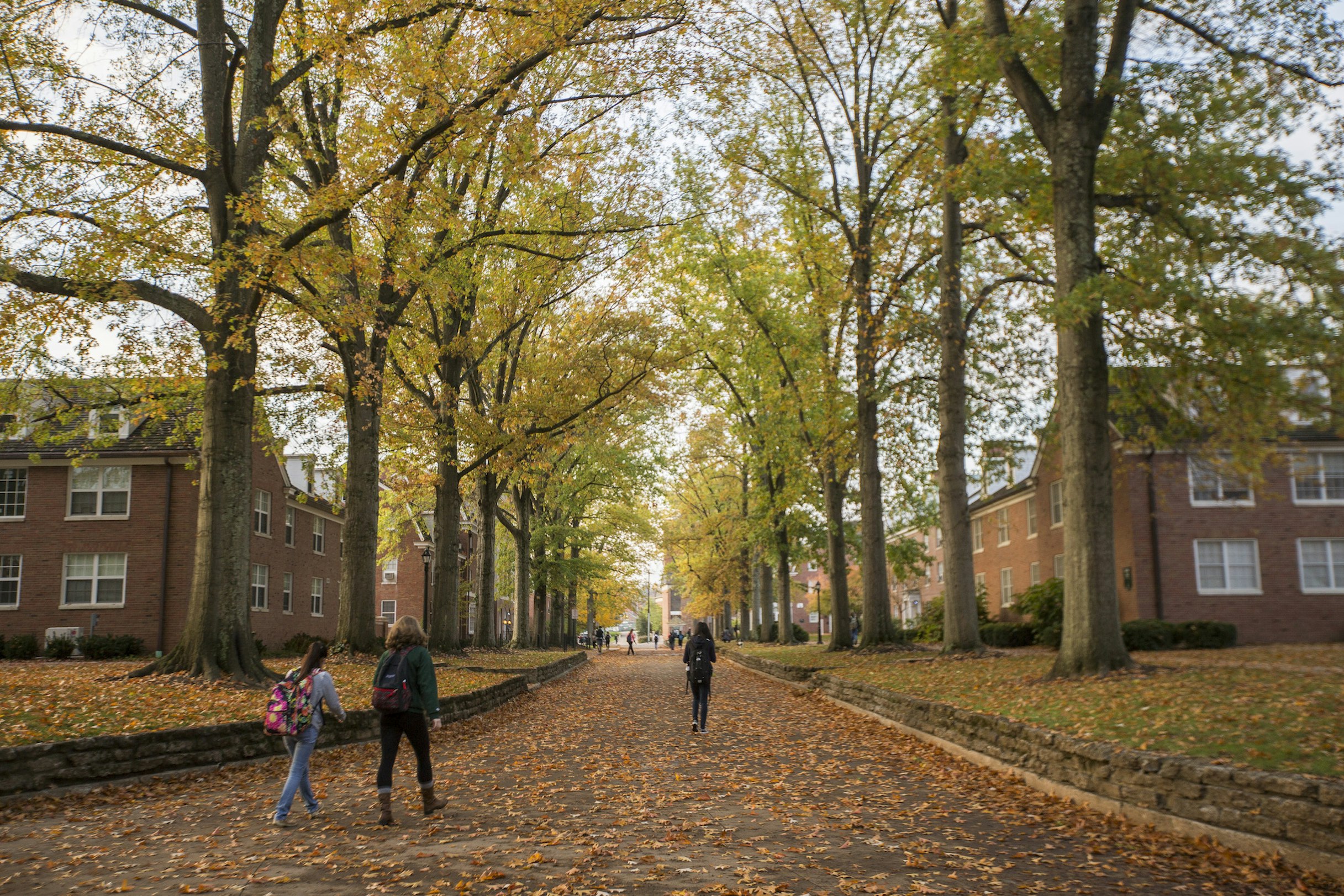 All 118 majors at Ohio University | CollegeVine