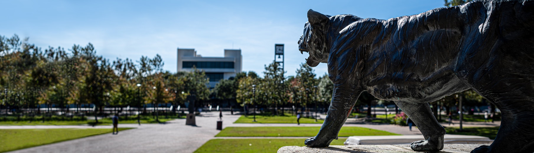 Texas Southern University | TSU - Requirements + Data | CollegeVine