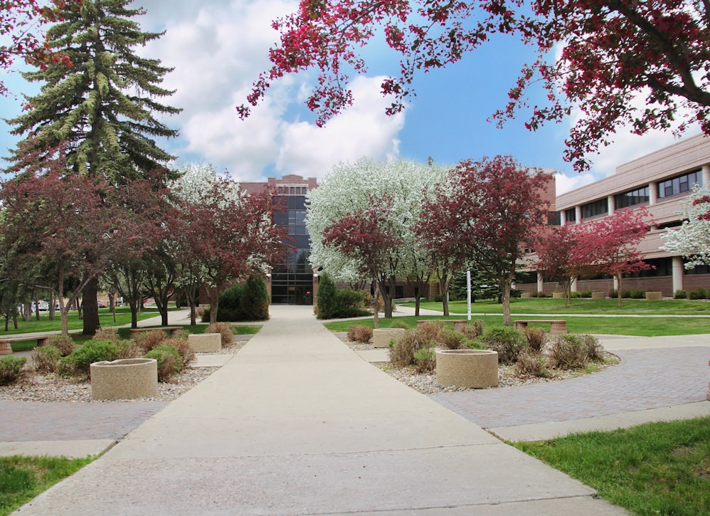 Minot State University - Requirements + Data | CollegeVine